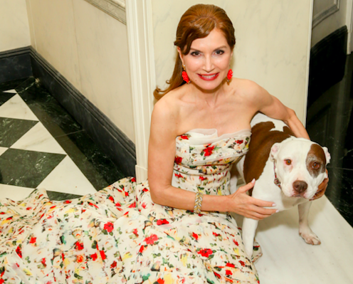 Jean Shafiroff Leads Big Dog Toy and Food Drive • James Lane Post ...