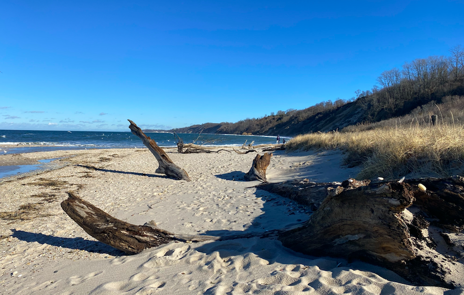 A Walk Outside: Hallock State Park Preserve • James Lane Post ...