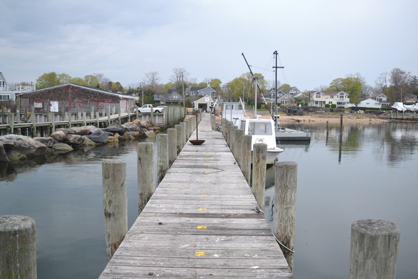 Peeko Oysters: Turning Water Into Brine • James Lane Post • Hamptons ...