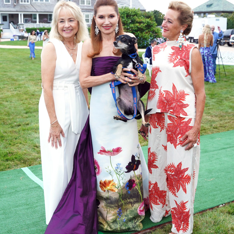 The Southampton Animal Shelter Foundation’s 13th Annual Unconditional ...
