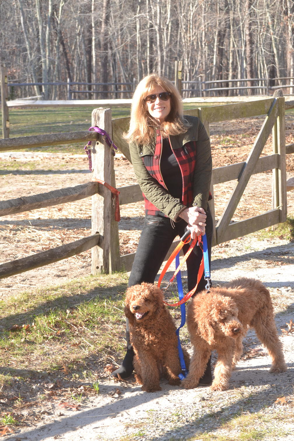 Jill Rappaport: Animal Advocate For Seniors, Pits & Special Needs ...