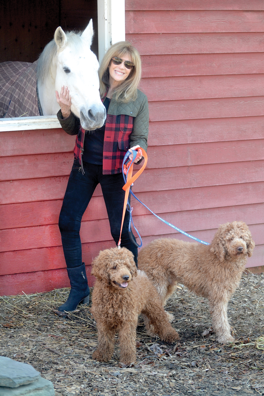 Jill Rappaport: Animal Advocate For Seniors, Pits & Special Needs ...