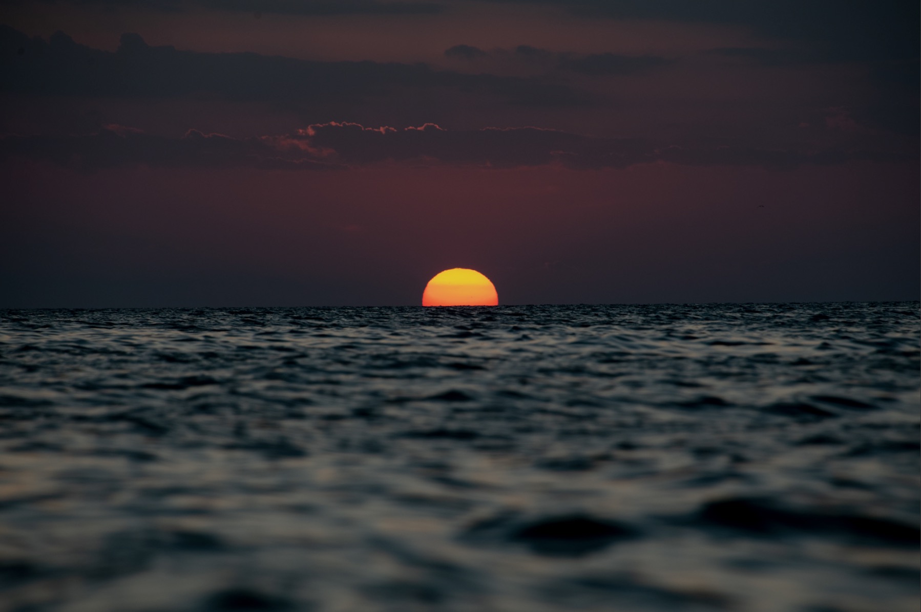 The Montauk Beach House Hosts Two Art Exhibitions With Artists Ruvan ...