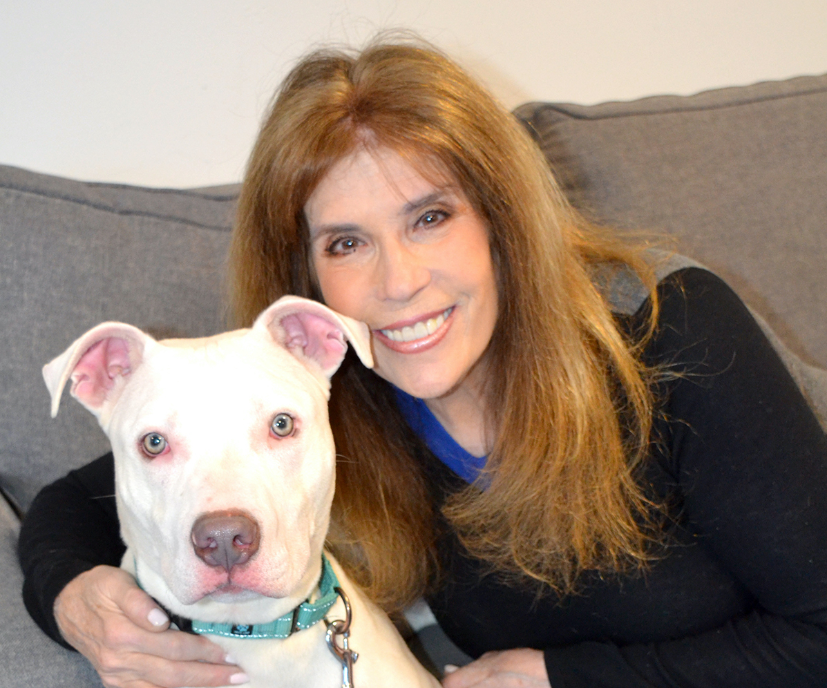 A Home After The Holidays: Jill Rappaport Continues Campaign With ...