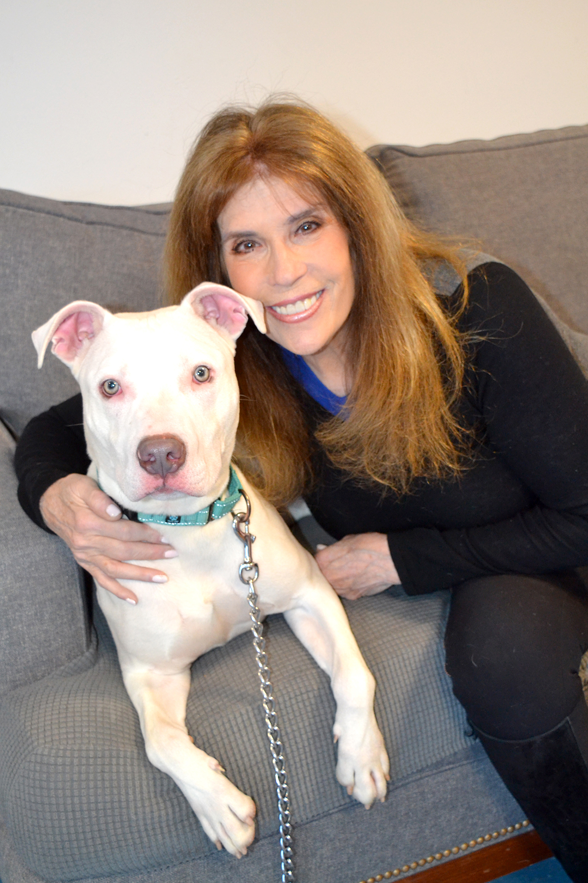 A Home After The Holidays: Jill Rappaport Continues Campaign With ...