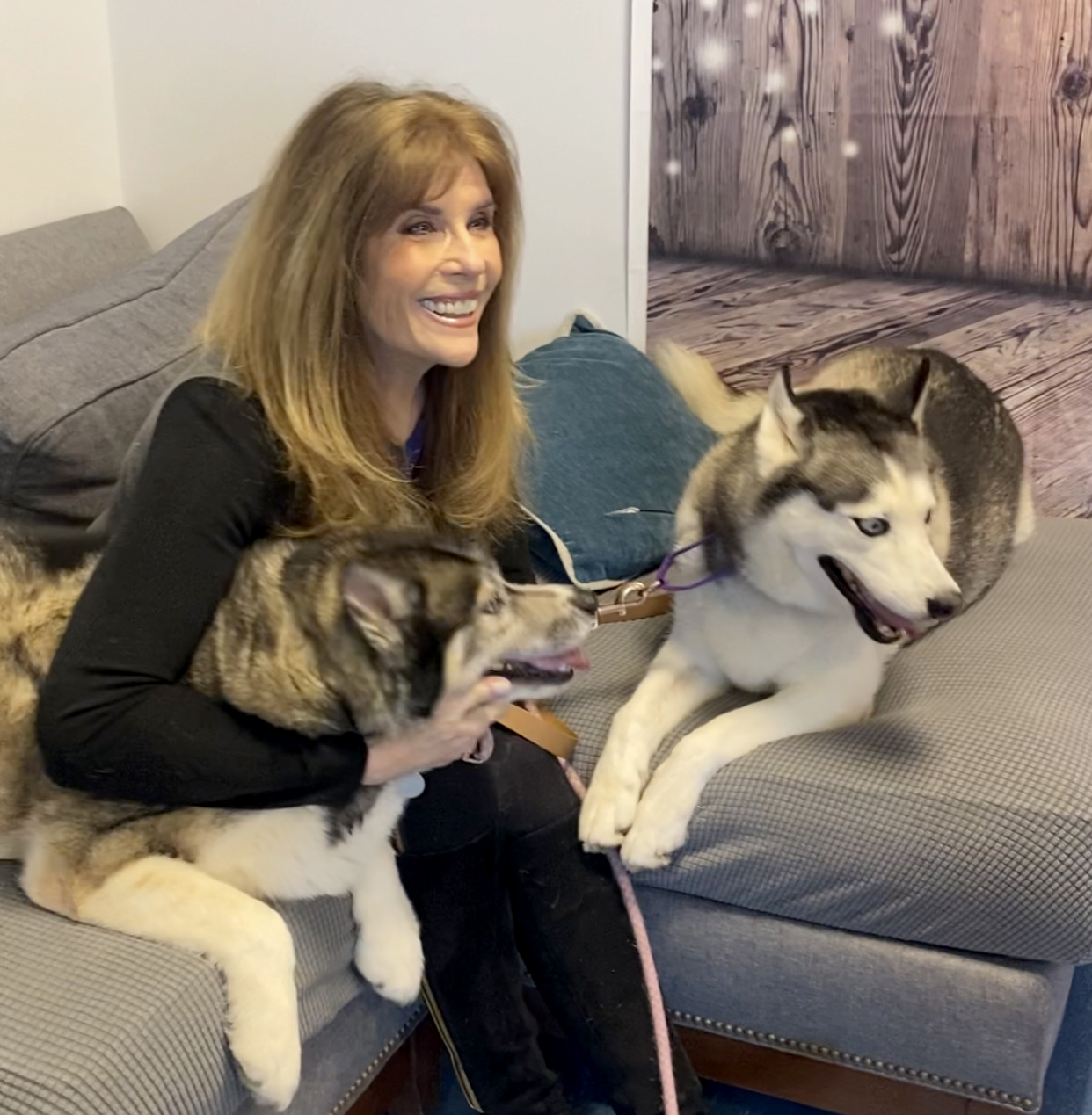 A Home After The Holidays: Jill Rappaport Continues Campaign With ...