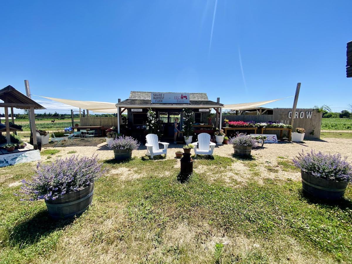 Share the Harvest Farm Stand Opens For The Season • James Lane Post ...