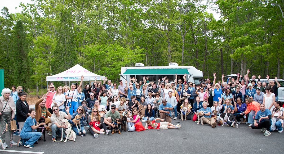ARF Hamptons Pet Celebration Day & The Winners Of The James Lane Post ...