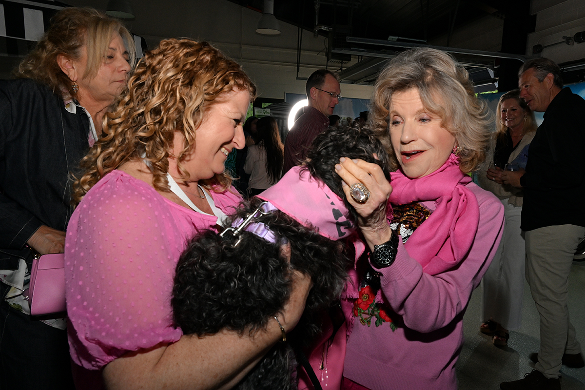 Rescues & Rosé: ARF Hamptons Hosts Brand-New Summer Event • James Lane ...