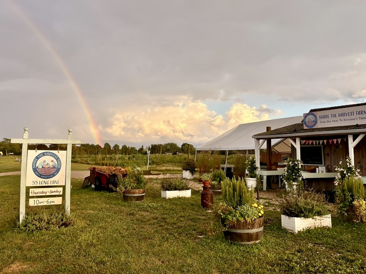 Share The Harvest Farm Stand Opens For The Season In East Hampton ...